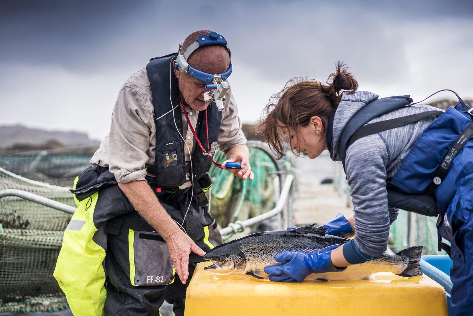 Fish Welfare | Salmon Scotland