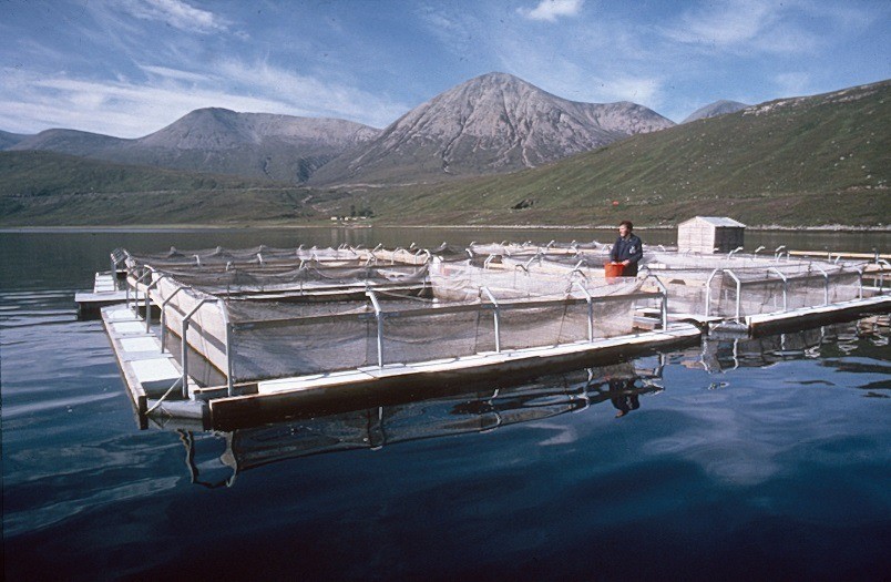 When did salmon farming in Scotland begin? | Salmon Scotland