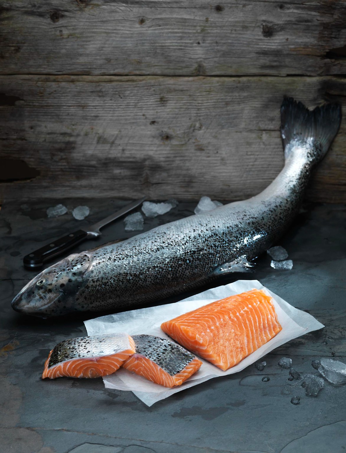 Are Scottish Salmon Genetically Modified? | Salmon Scotland