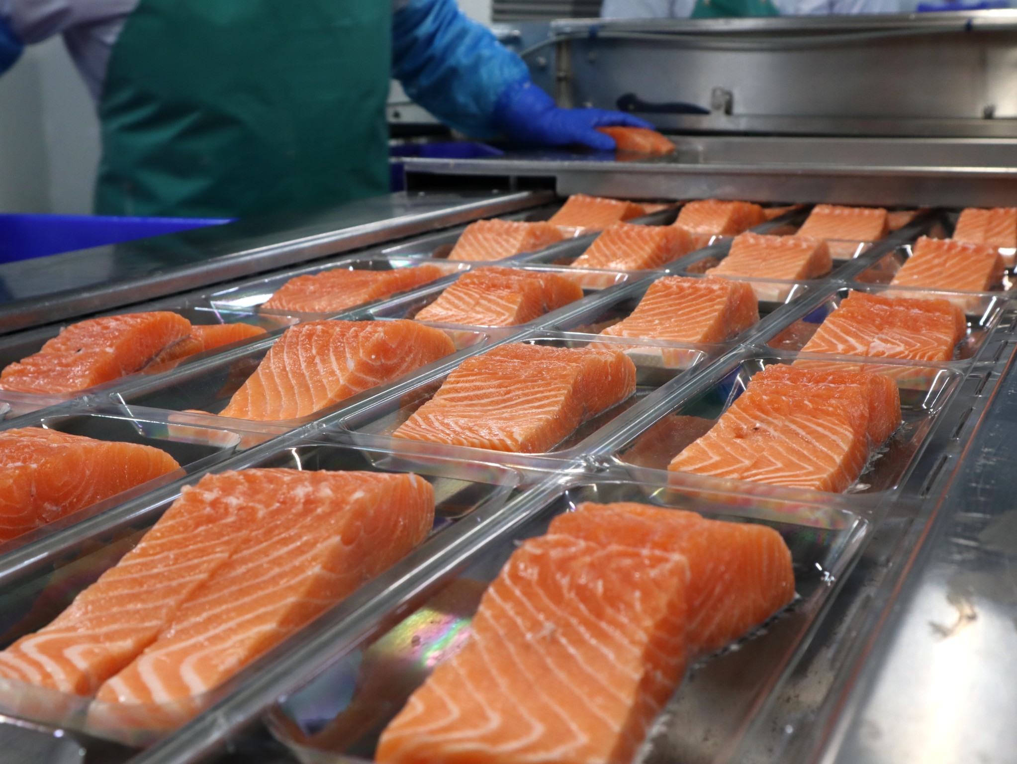 Scottish Salmon secures protected status across the EU | Salmon Scotland